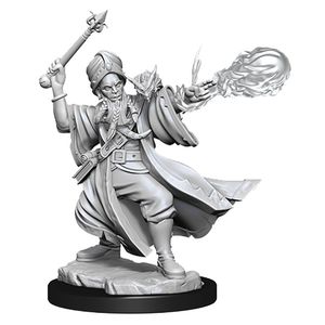 Dungeons & Dragons - Frameworks Miniature - Human Wizard Male - Gaming ...